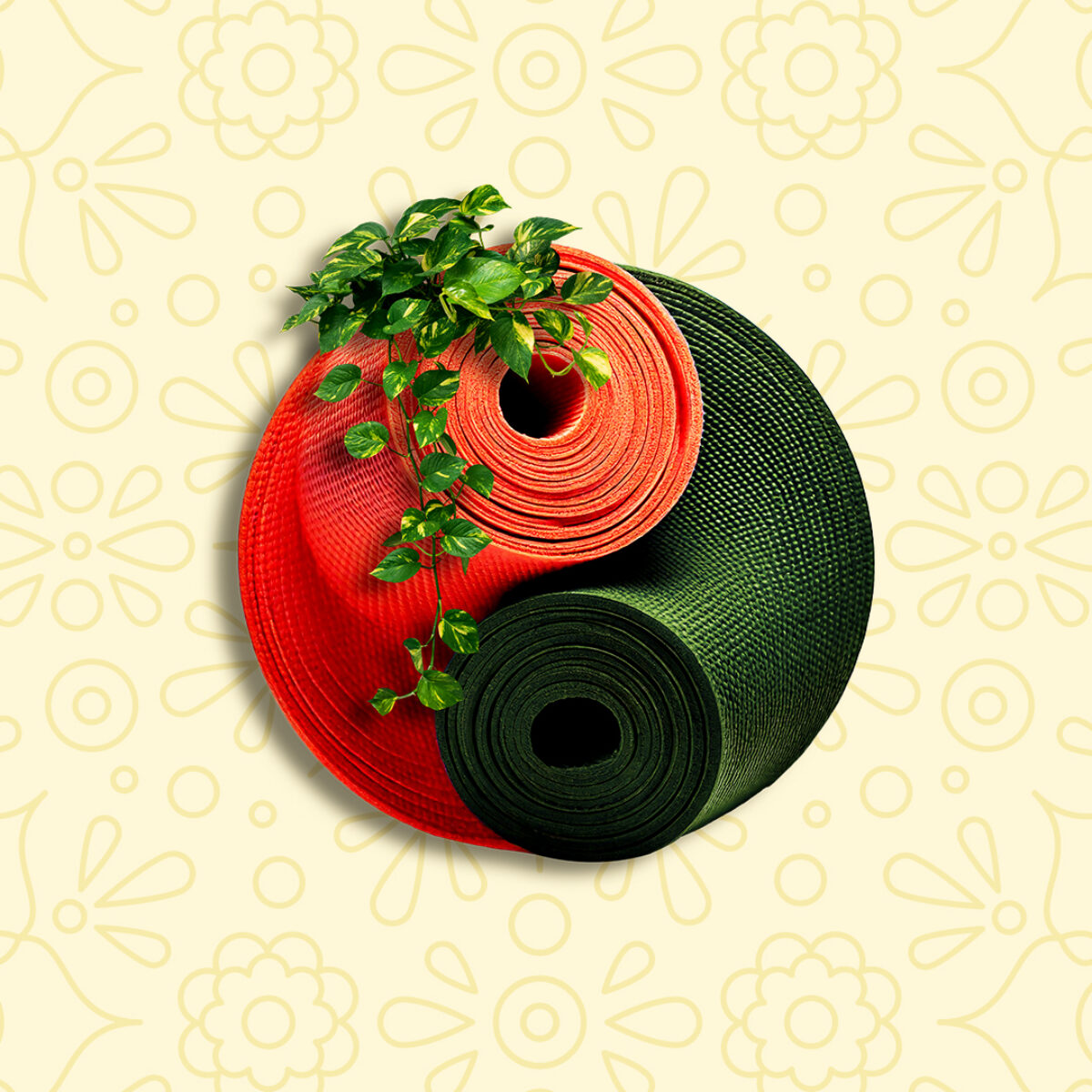 Free your Chi mit Joe, jeden Montag im Restaurant FlowFood